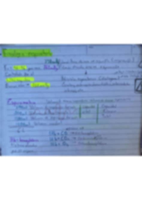 SOLUTION Generalidades Del Aparato Respiratorio Studypool