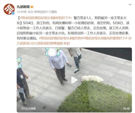 情侣吵架高空扔狗警方通报 澎湃号政务 澎湃新闻 The Paper