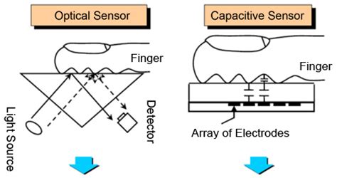 fingerprint sensor technology and security requirements