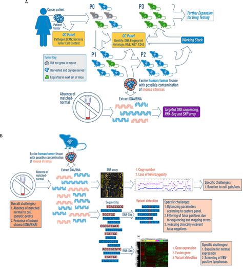 Bioinformatics Workflows For Genomic Analysis Of Tumors From Patient