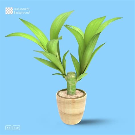 Planta De Renderizado 3d En Maceta Archivo PSD Premium