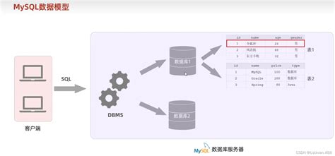 javaweb学习——mysql数据库 查询价格低于 10元 的菜品的名称 、价格 及其 菜品的分类名称 csdn博客