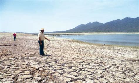 Pérdida por sequía en Piura suma más de S 20 millones