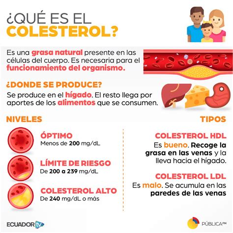 Inf Rmate Sabes Cu L Es El Colesterol Hdl Y El Ldl En La Siguiente