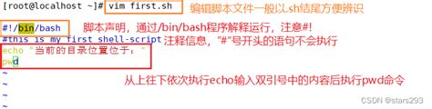 shell编程规范与变量 shell与 path csdn博客