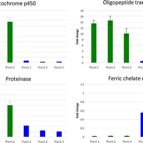 Validation Of Rna Seq Results Using Rt Qpcr Assays The Cytochrome P