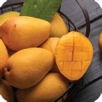 6 Incredible Mango Benefits For Health And Nutritional Value