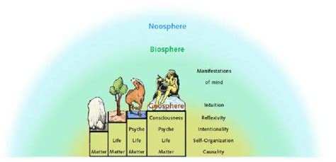 The Relationship Between Human Beings And Nature Underlying A