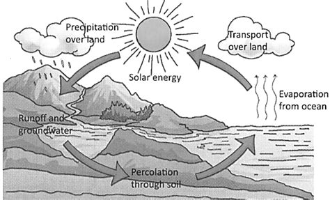 What Is Water Cycle Explain The Process