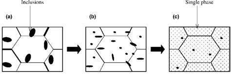 Schematic Diagram Showing The Microstructure Evolution For The
