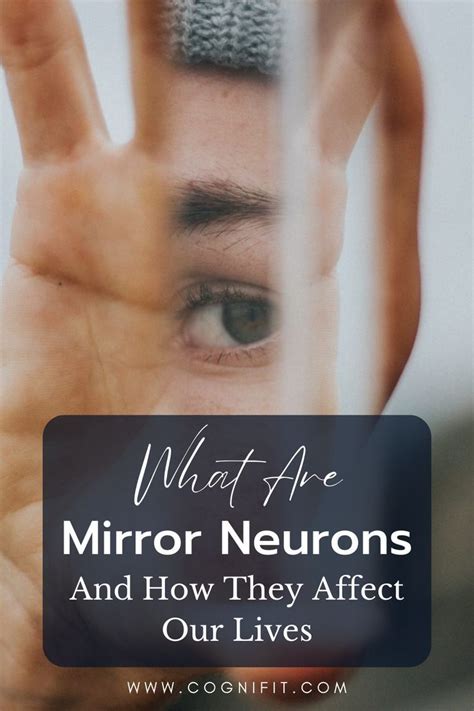 What Are Mirror Neurons And How They Affect Our Lives In 2023 Mirror