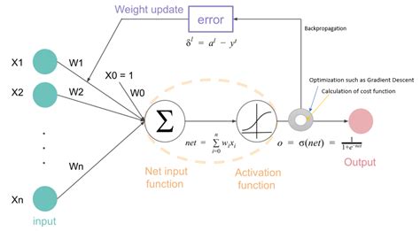 machine learning how does gradient descent and backpropagation work together data science