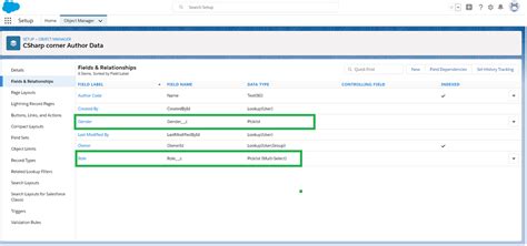 what is a multi select picklist in salesforce