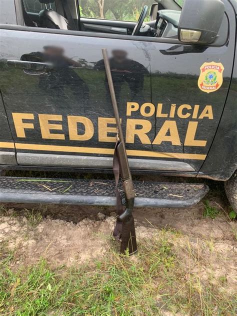 PF e PM MA realizam operação conjunta de combate ao tráfico de drogas