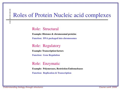 PPT Protein Nucleic Acid Interactions General Principles PowerPoint