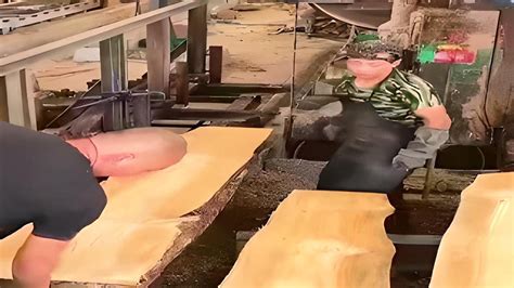 Amazing Fastest Large Wood Sawmill Machine Working Giant Wood Cutting