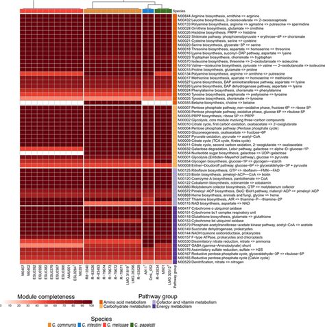 Heatmap Illustrating The Level Of Completeness Of Kegg Metabolic