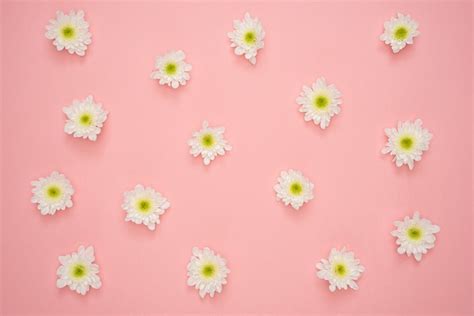 El Top Fondos De Rosas Abzlocal Mx