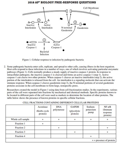 Ap Biology Frq Answers 2024 Ap Biology 2