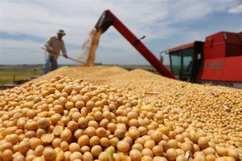 Os Produtos Mais Exportados Pelo Brasil