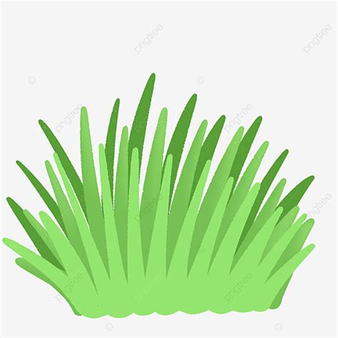 Desenho De Grama PNG Desenho De Grama PNG Erva Png Relva Imagem