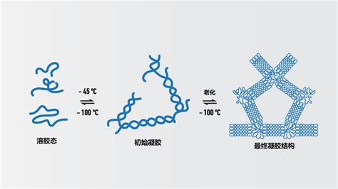 技术详解DNA琼脂糖凝胶电泳 小桔灯网 IIVD NET