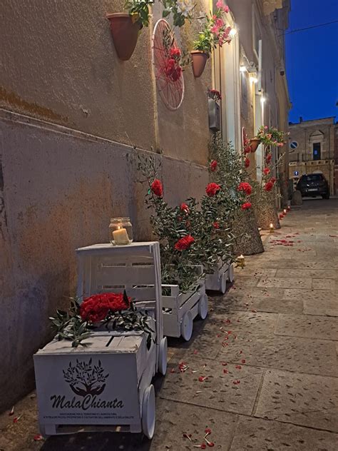 In Occasione Dei Solenni Festeggiamenti In Onore Della Madonna Del