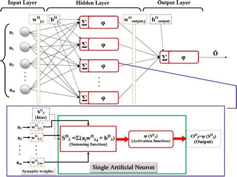 schematic structure of a multilayer perceptron artificial neural network download scientific