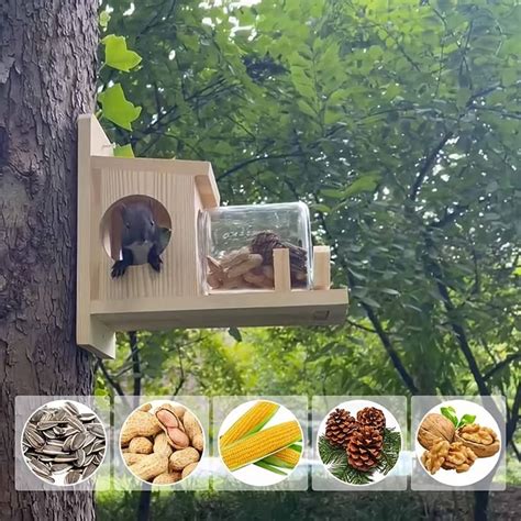 Mangeoire Pour Écureuils En Bois Boîte À Nourriture Rustique Faite À