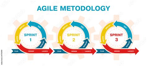 Agile Project Management Development Methodology Infographic Agile