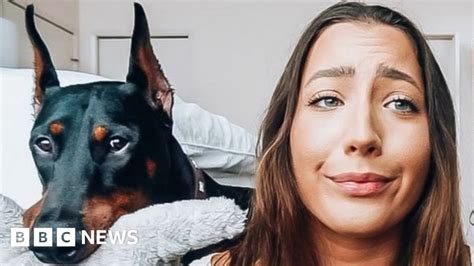 YouTuber Denies Abusing Her Pet Doberman After Backlash BBC News