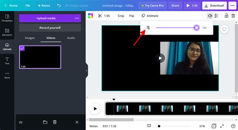 Easy Ways To Remove Audio From Video Step By Step Tutorials