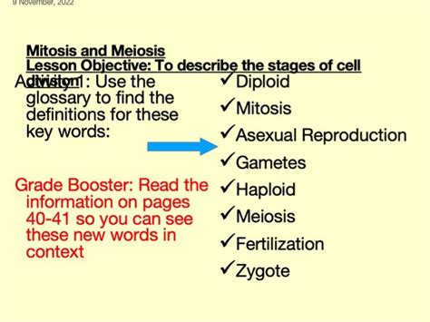 Mitosis And Meiosis Gcse Biology Lesson Powerpoint Edexcel