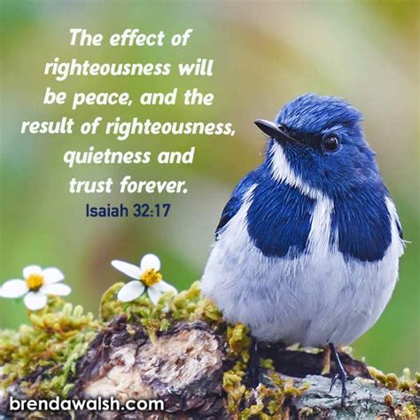 Effects And Results Brenda Walsh Scripture Images