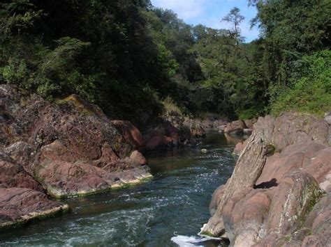 De la selva a la Puna entre cóndores y yaguaretés conocé los Parques