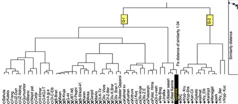 dendrogram hierarchical clustering for analysis of the similarity of download scientific