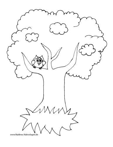 Ast Zum Ausmalen Ausmalbilder Fur Erwachsene Bild Ein Pfau Auf Einem