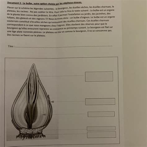 Bonjour est ce que vous pouvez maider à légender le schéma et mettre