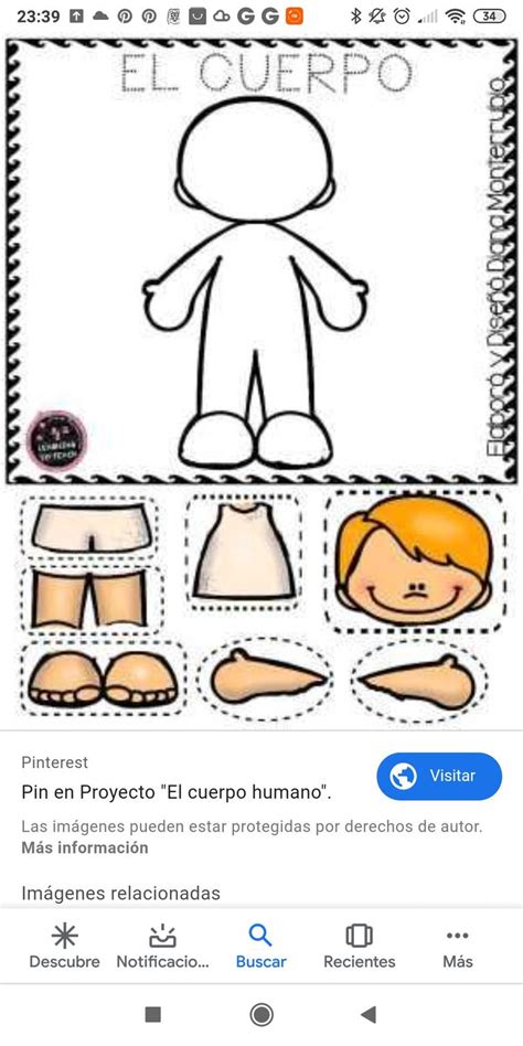 Articulaciones Ficha Interactiva Cuerpo Humano Para Nios