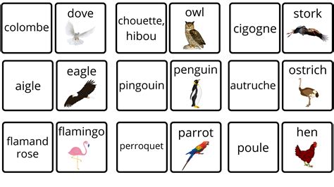 Memory Des Noms D Animaux Courants En Anglais Cartes Pour