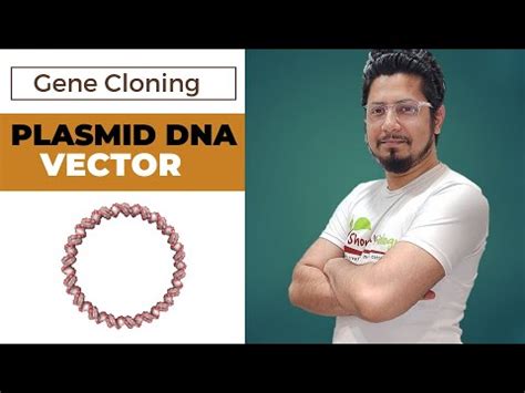 Plasmid DNA Vector In Gene Cloning Plasmid Vector Pbr322 Vector