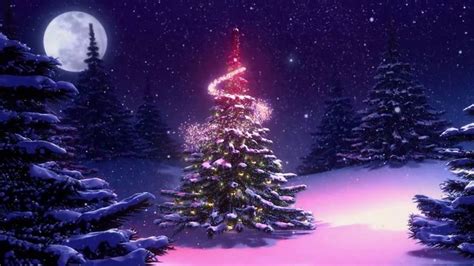 A Christmas Tree Is Lit Up In The Night Sky With Stars And Snow On It