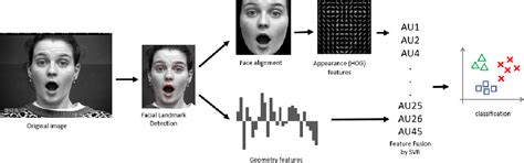 figure 1 from facial expression recognition based on facial action unit semantic scholar