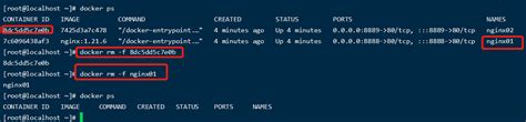 docker入门学习 怎么进入docker springboot tomcat 目录 csdn博客