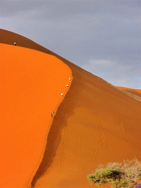 Namib Dunes Sossusvlei