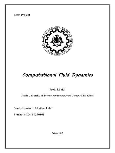 computational fluid dynamics term project pdf computational fluid dynamics fluid dynamics