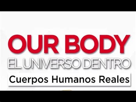 OUR BODY EL UNIVERSO DENTRO EXPOSICIÓN CDMX YouTube