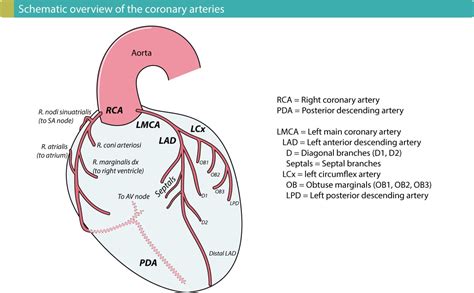 Supraventricular And Intraventricular Conduction Defects In Myocardial