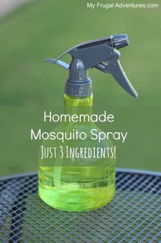 Natural Homemade Mosquito Repellents That Absolutely Work