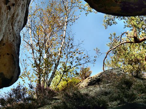 Banco de imagens panorama árvore natureza floresta Rocha região